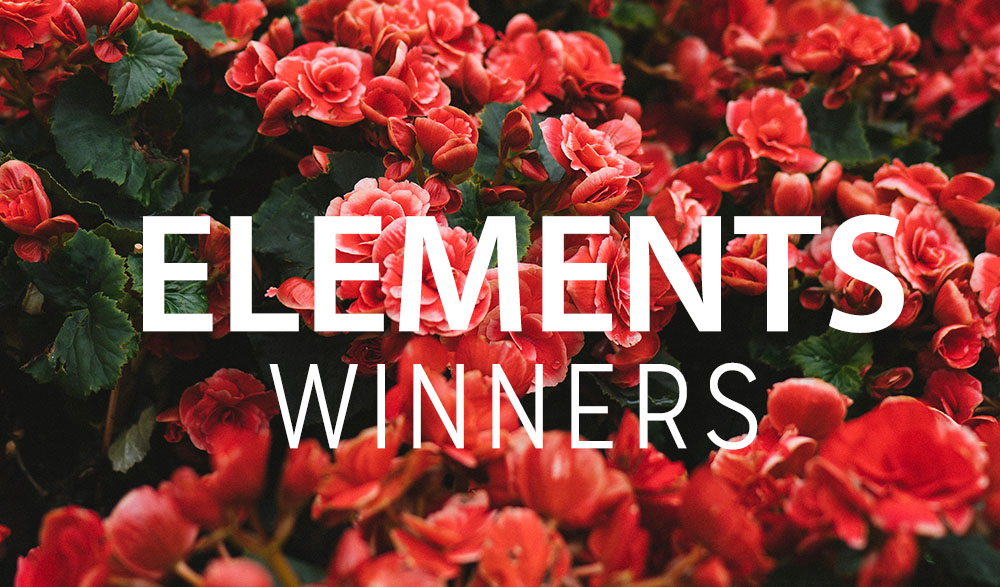 CRAFT Elements Contest 2018 CRAFT