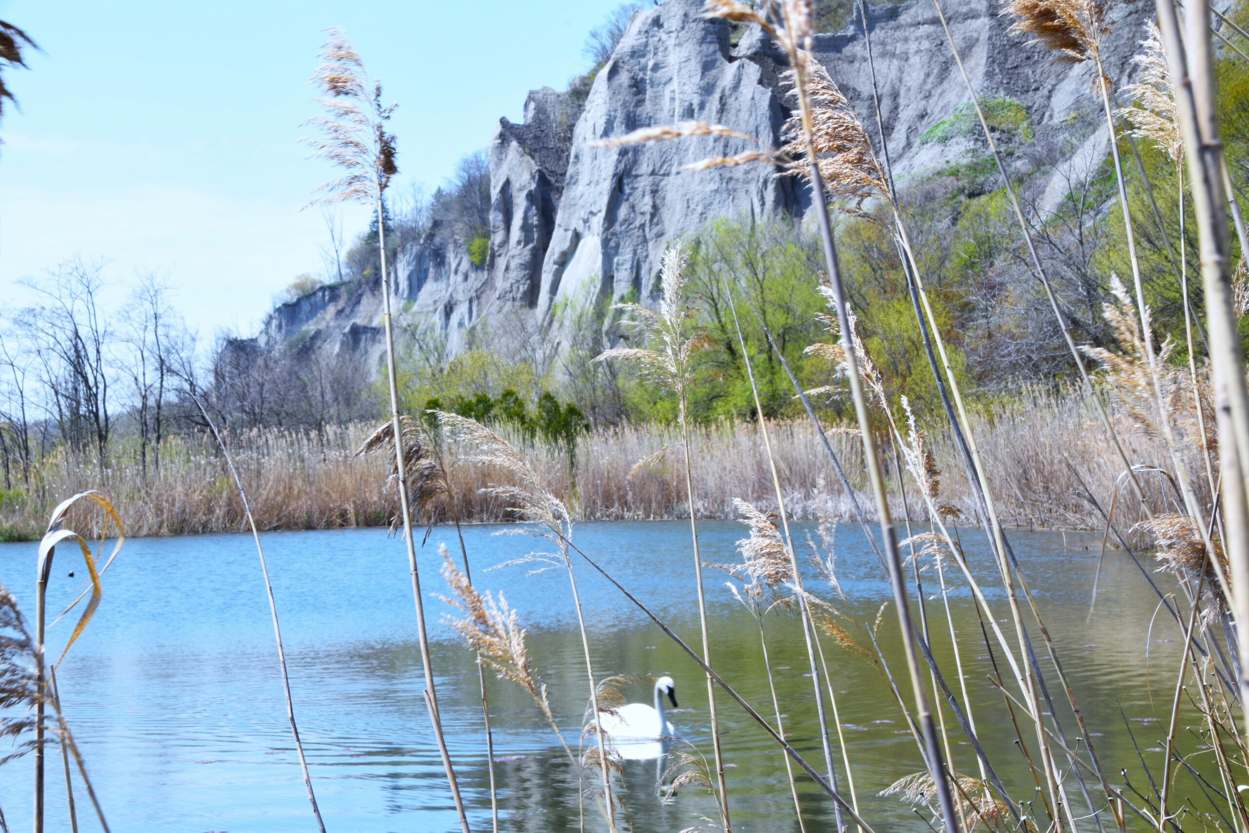 Here and There at the Lake by Janice Vis - CRAFT